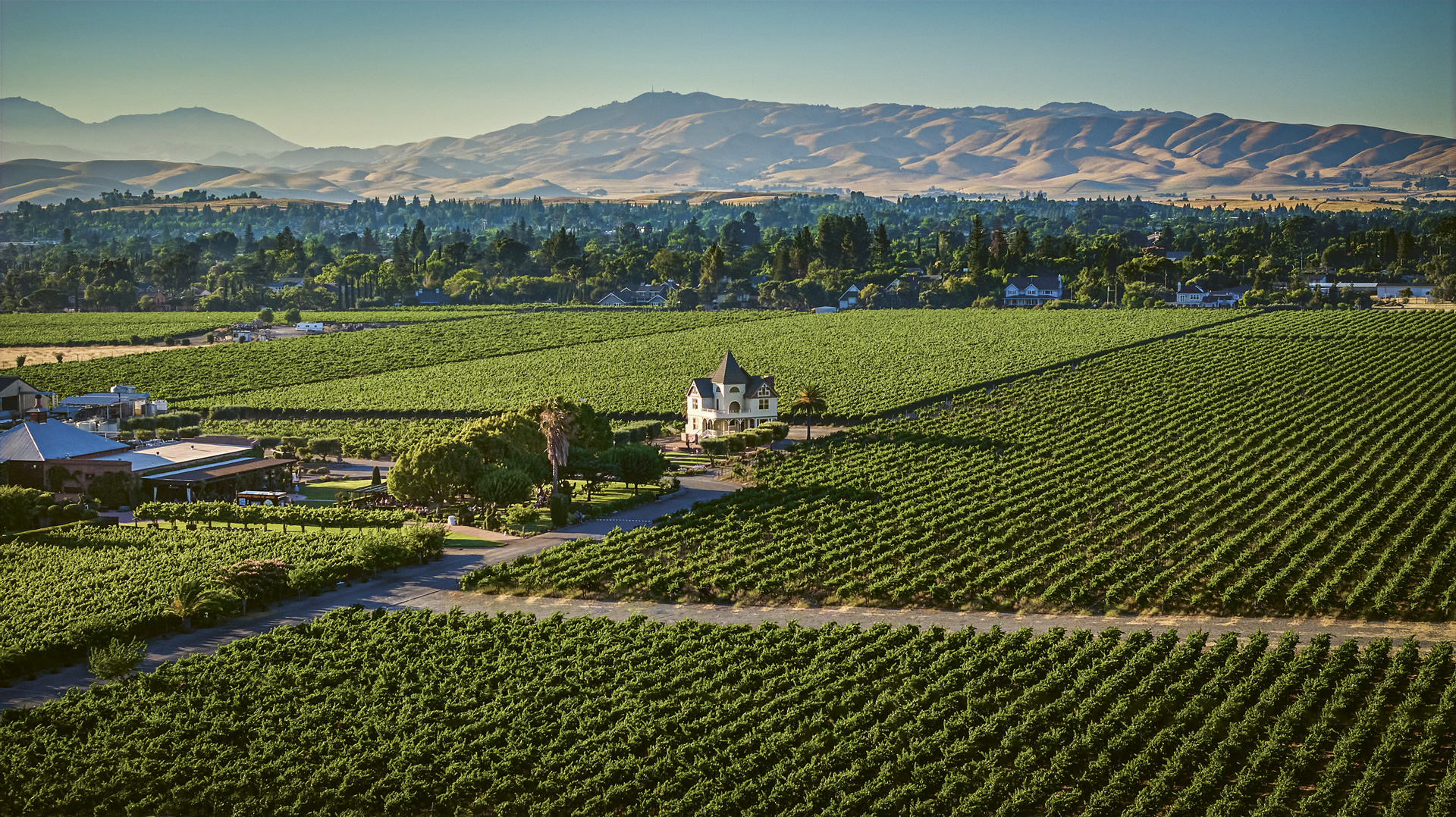 Livermore Rising - Full Pour